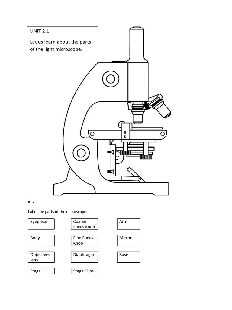 Microscope Label | PDF