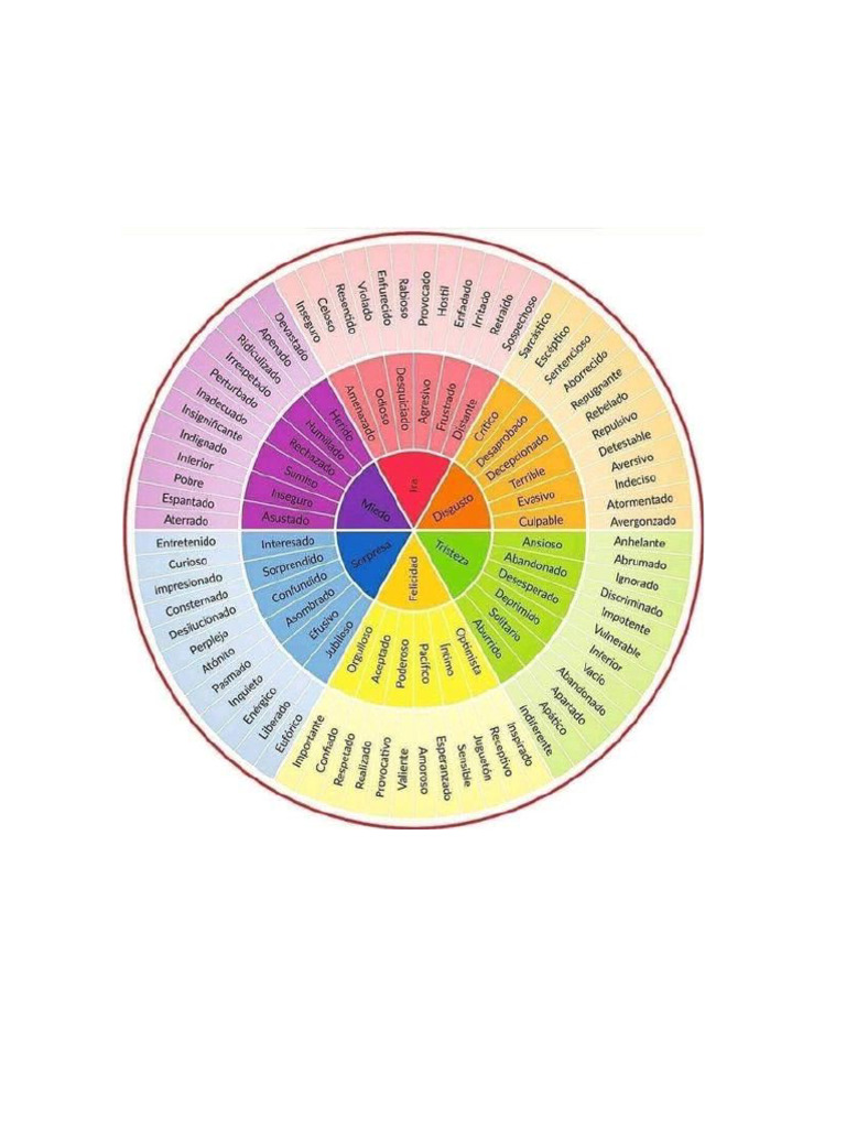 Circulo de Emociones | PDF