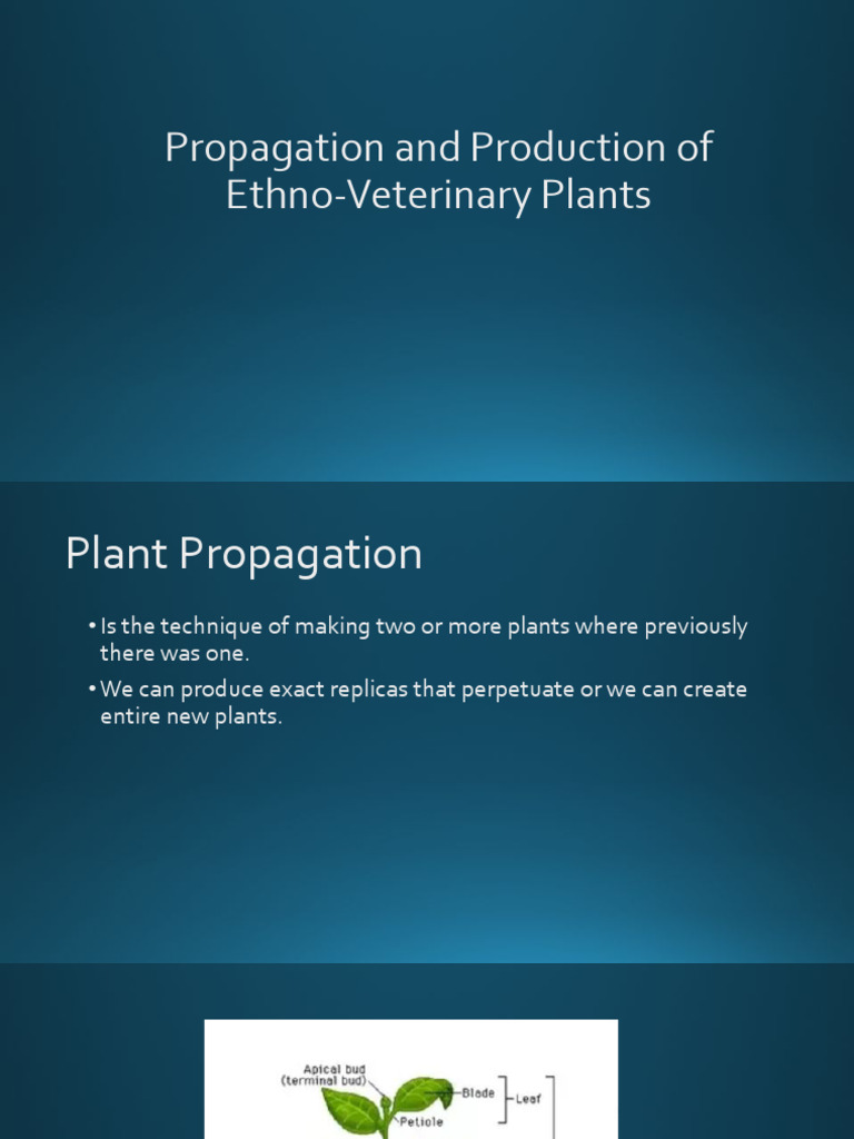 Propagation and Production of Ethno Veterinary Plants v2 1 1 | PDF ...