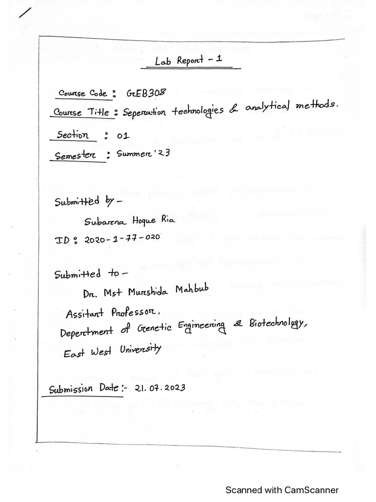 SDS PAGE Lab Report | PDF