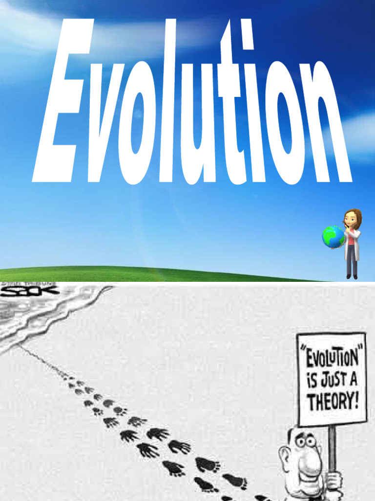 Evolution Notes - Fill in | PDF
