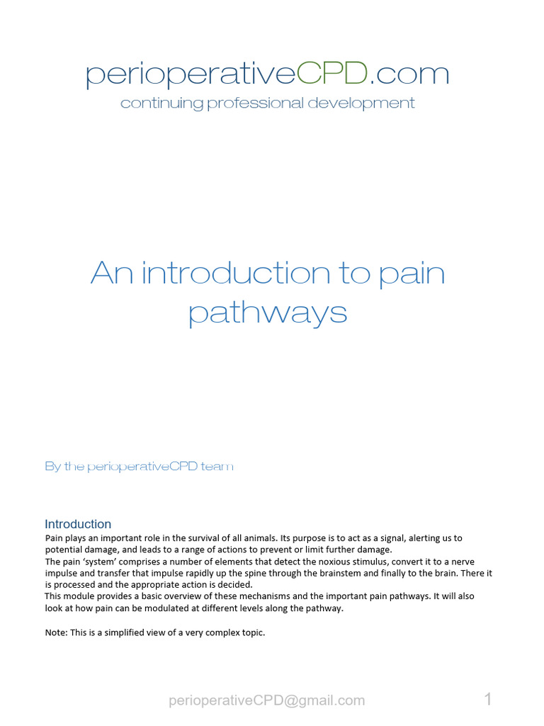 An Introduction To Pain Pathways 2022 | PDF | Pain | Spinal Cord
