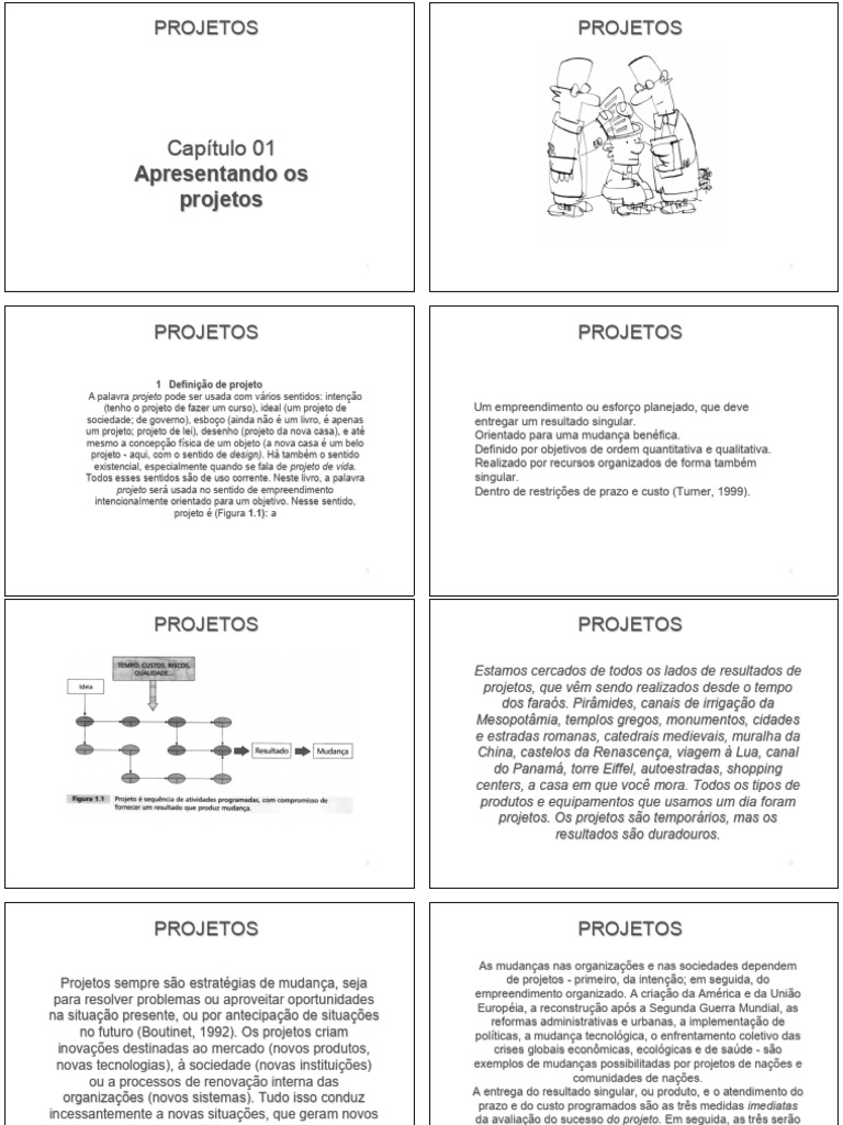 Apostila Davi Projetos Cap 1 A 3 | PDF