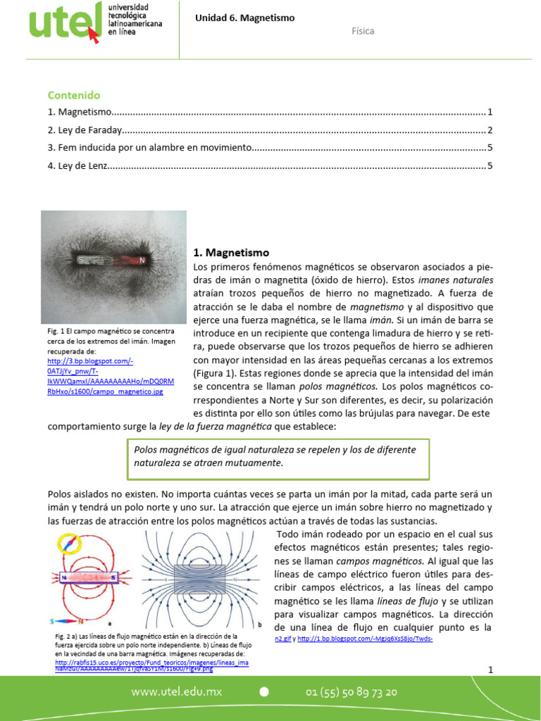 Magnetism o | PDF | Inducción electromagnética | Imán
