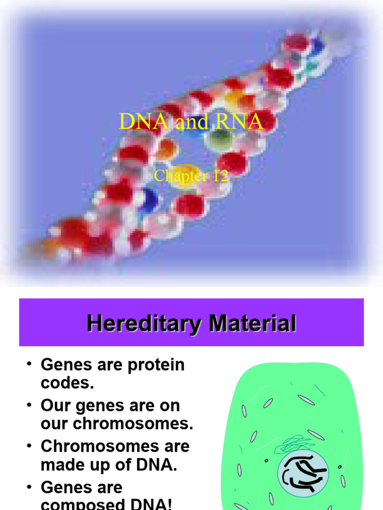 DNA RNA Protein Synthesis | PDF | Dna | Translation (Biology)