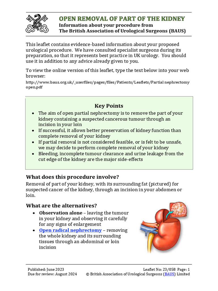 Partial Nephrectomy Open | PDF | Surgery | Medicine