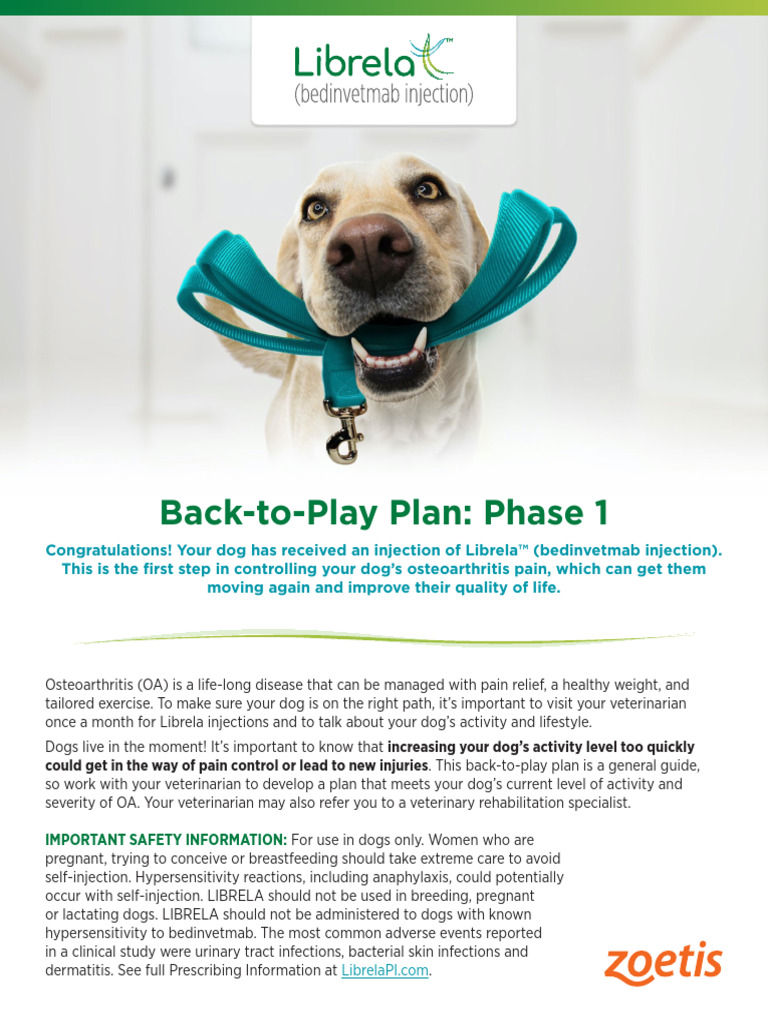 Librela Professional Back To Play Fitness Plan 3 Phases, US | Download ...