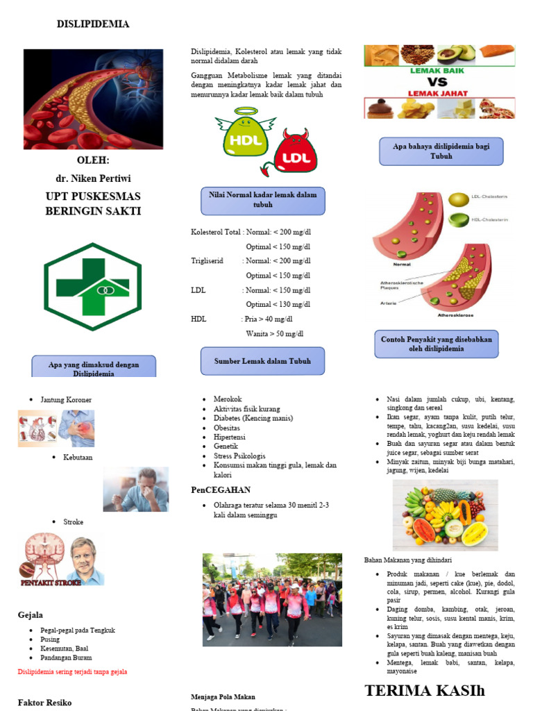 Leaflet Dislipidemia | PDF