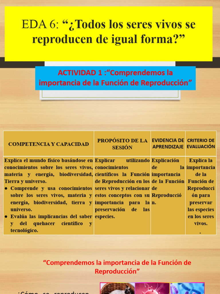 Exp6 Act1 CT 2° | PDF | Reproducción | Molde