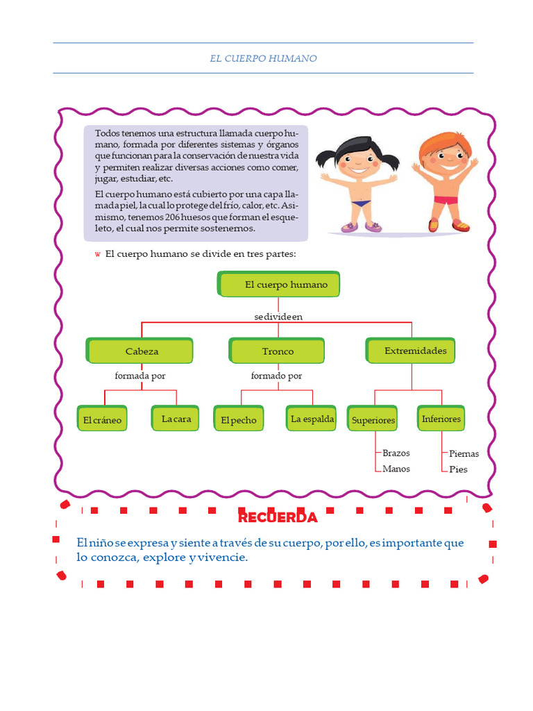 Conociendo el Cuerpo Humano para Niños | PDF | Cuerpo humano | Anatomía