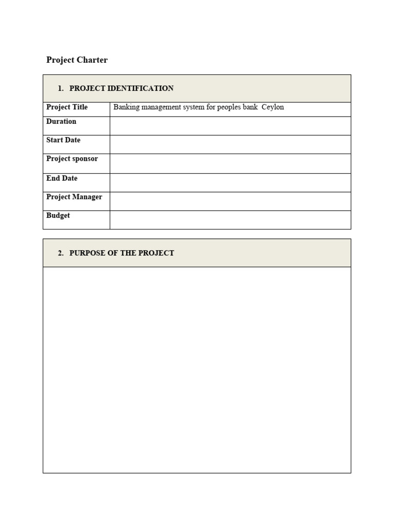 Project Charter | PDF | Project Management | Business