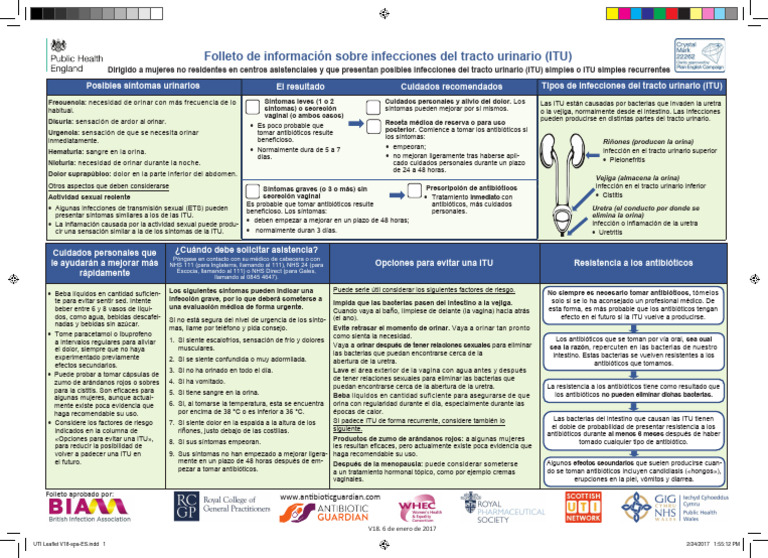 UTI Patient Leaflet Spanish | PDF