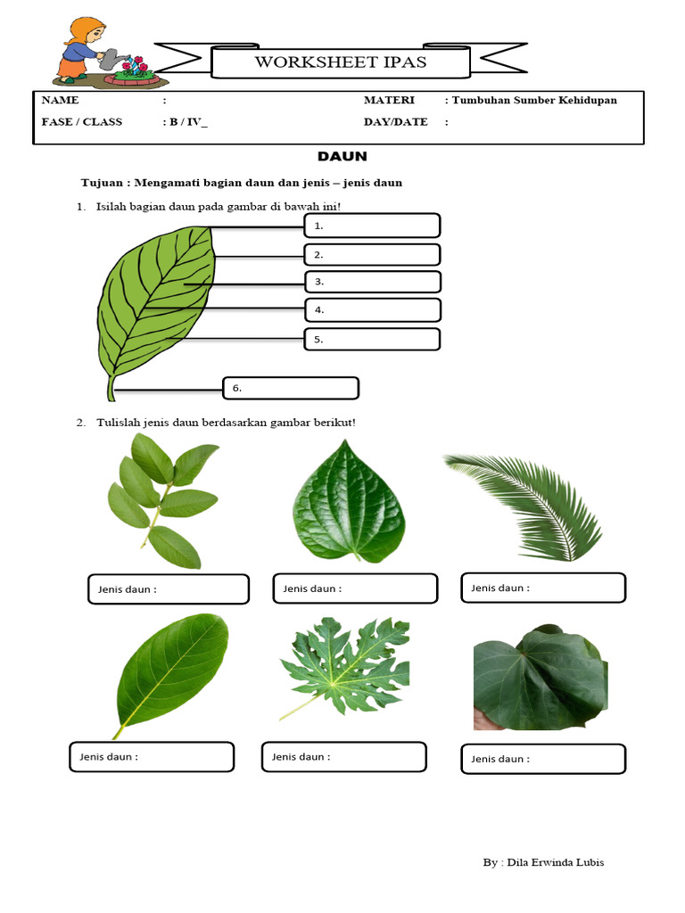 Bagian Dan Jenis Daun | PDF
