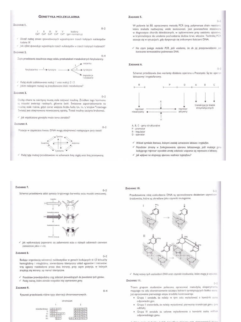 27.Genetyka molekularna | PDF