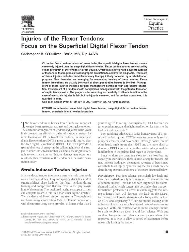 Flexor Tendons | PDF | Wound | Tendon