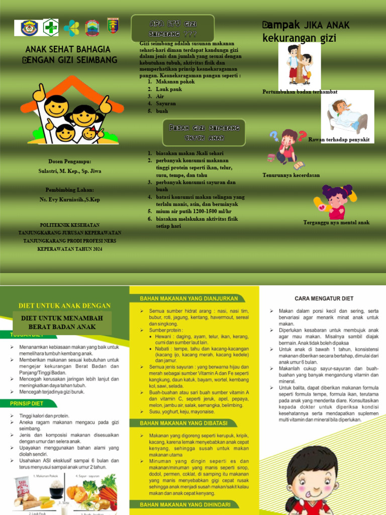 Leaflet Supervisi Gizi Seimbang | PDF