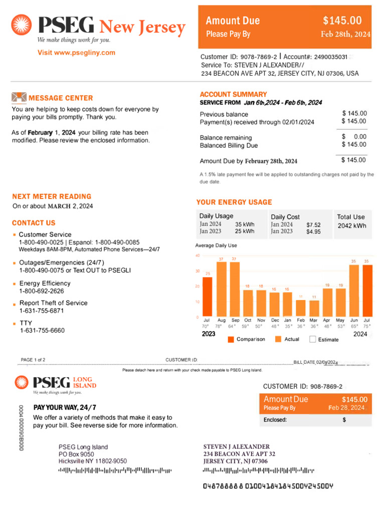 PSEG New Jersey Sample Bill 2024 | PDF