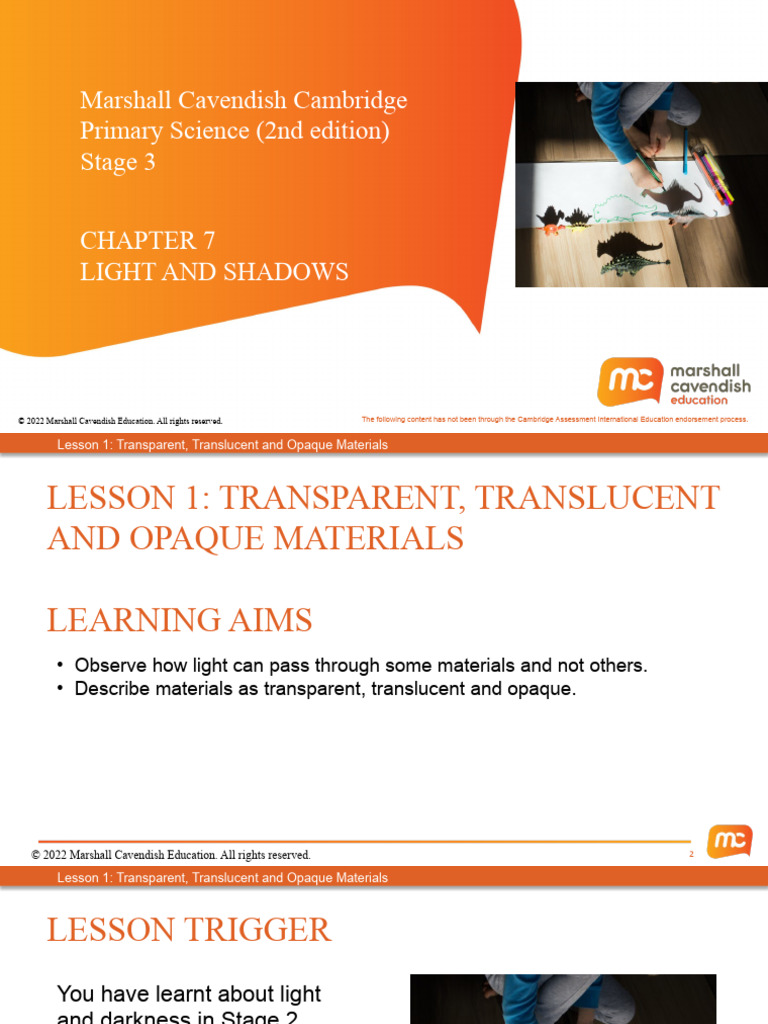 Primary Science: Light & Shadows | PDF | Shadow | Light