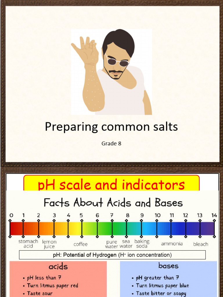 Preparing Common Salts G8 | PDF | Acid | Sodium Chloride