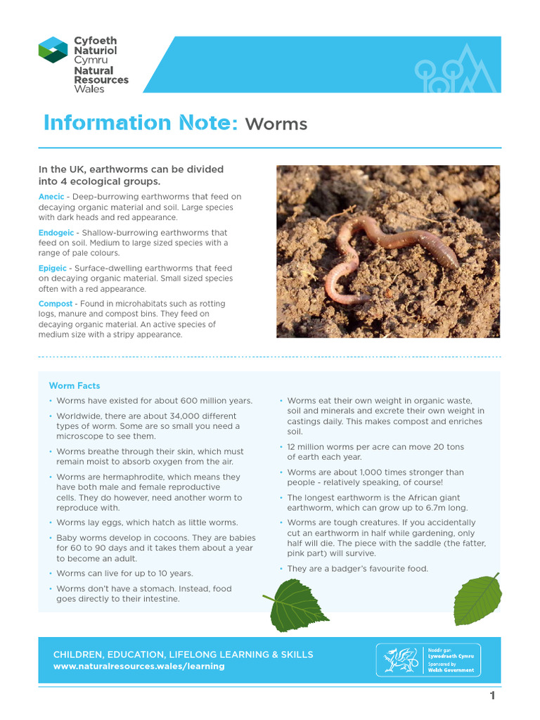 information-note-worms | PDF