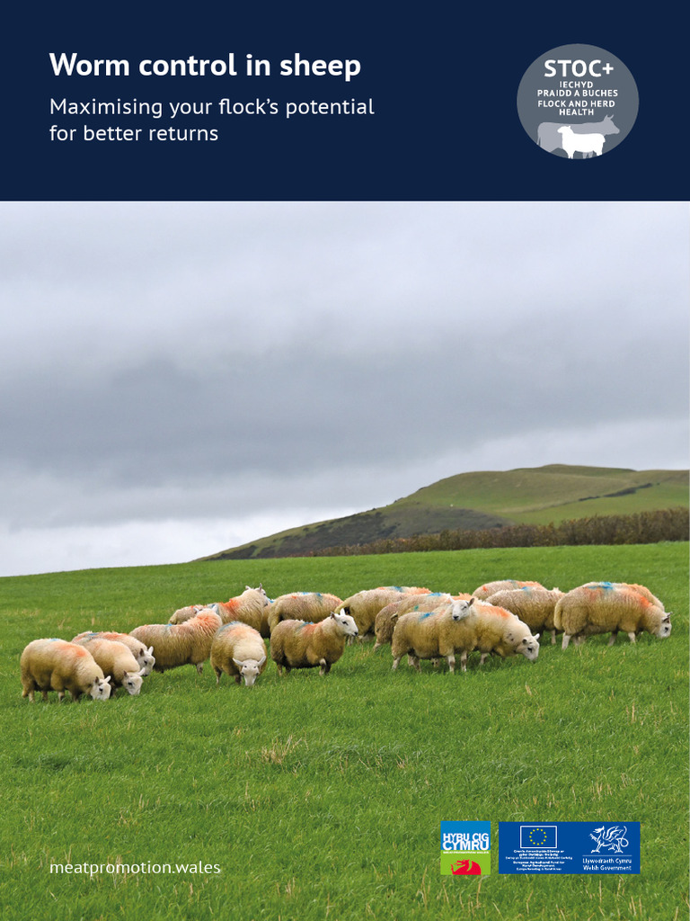 Rmdp Worm Sheep Eng Single Pages Pdf Sheep Selective Breeding