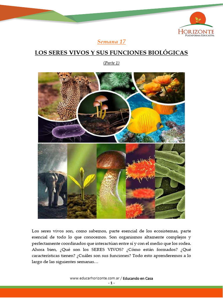 Características de los Seres Vivos | PDF | Organismos | Biología Celular)