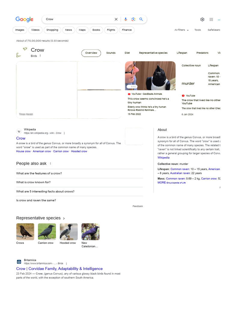 Crow -1 | PDF | Ornithology | Birds