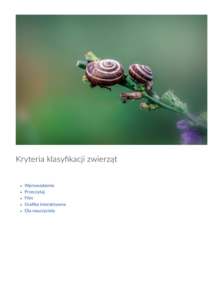 Kryteria Klasyfikacji Zwierzat | PDF