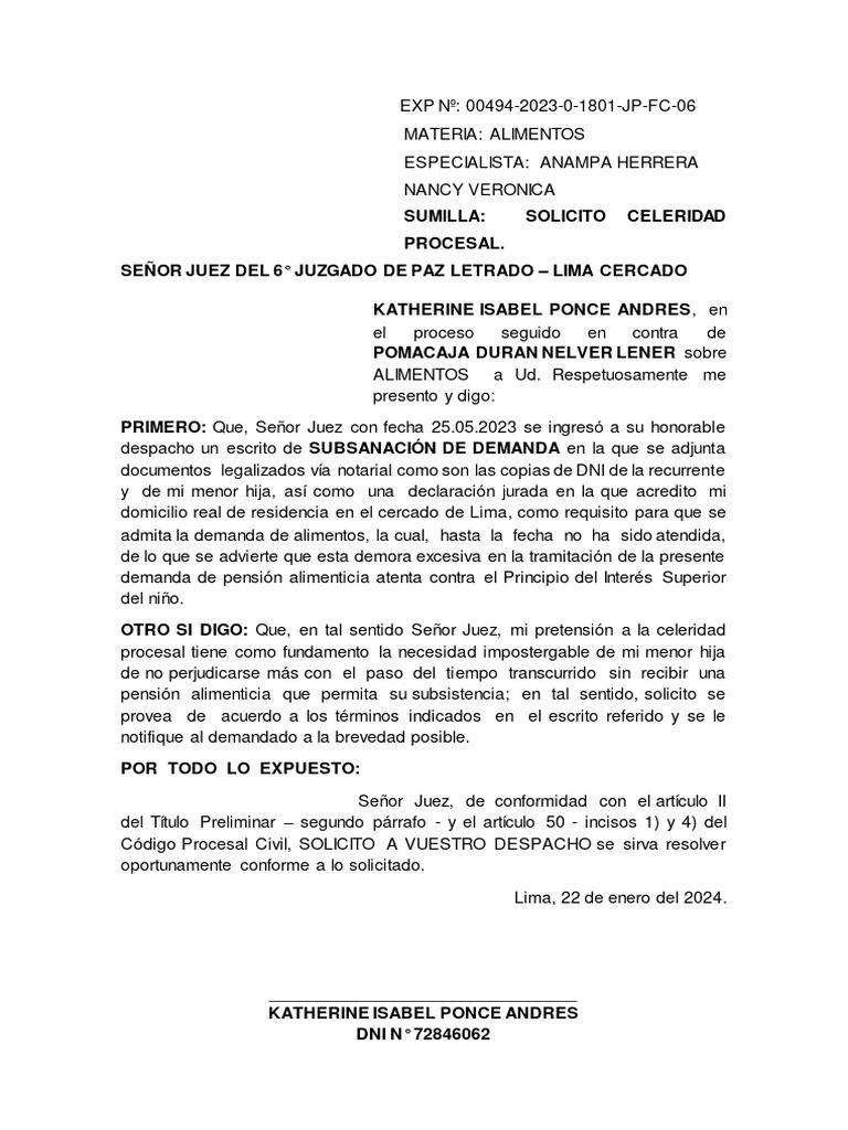 Celeridad Procesal Exp. 494-2023 Katy Ponce | PDF
