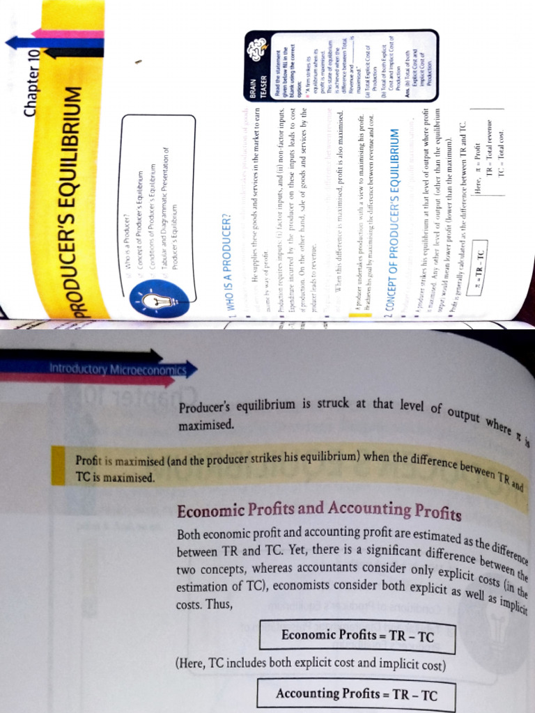 Ch 10 Producer Equilibrium | PDF | Profit (Economics) | Economic Equilibrium