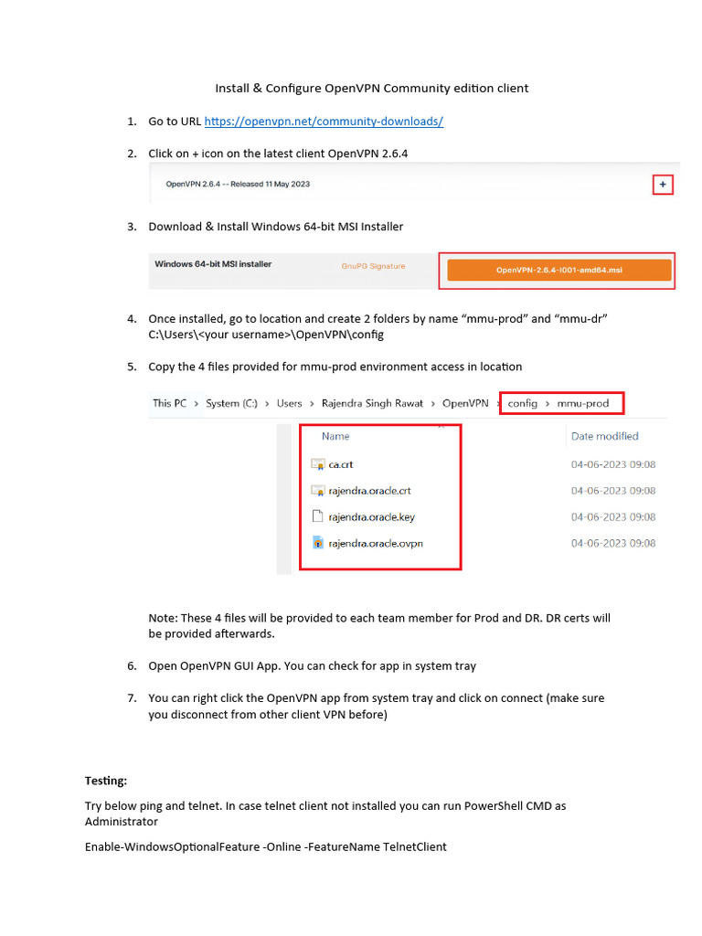 OpenVPN Setup Guide for IT Teams | PDF