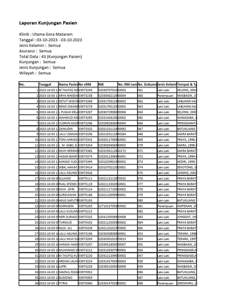 Laporan Kunjungan Pasien | PDF