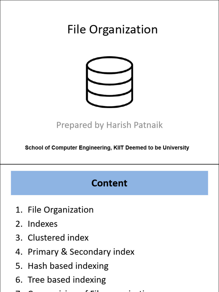 File Organization | PDF | Database Index | Computer File
