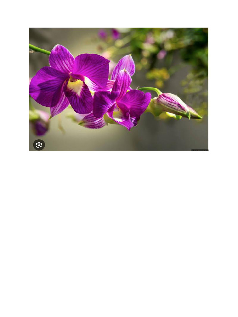 Gambar Alam | PDF