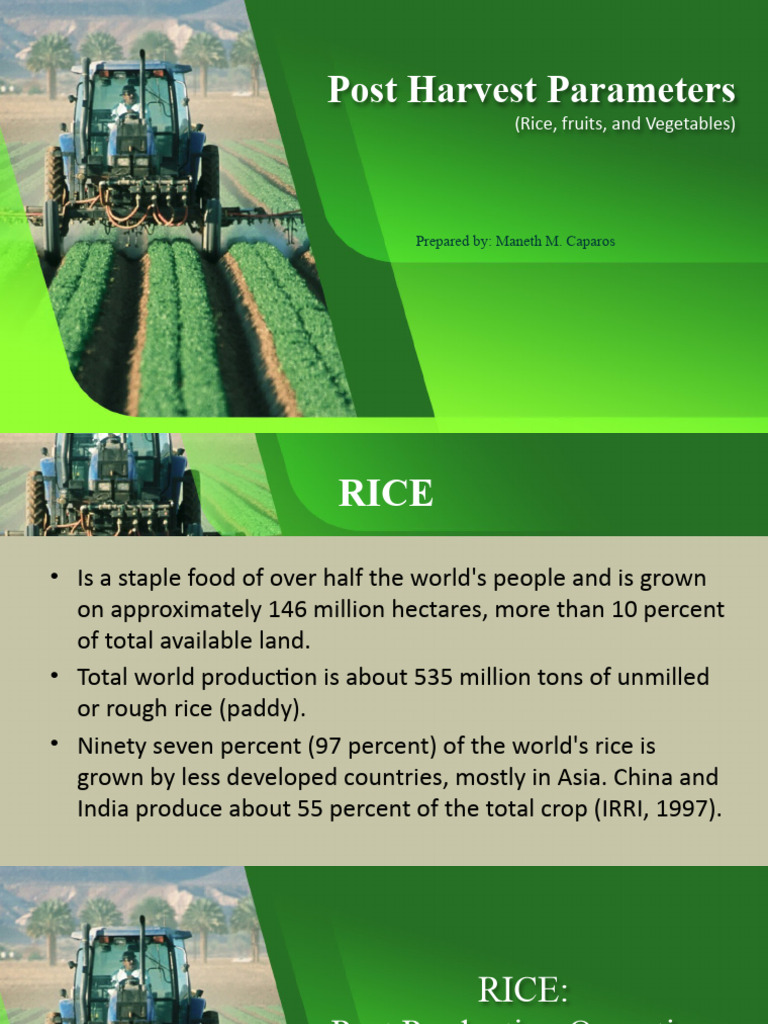 Rice Post-Harvest Operations Guide | PDF | Rice | Cereals