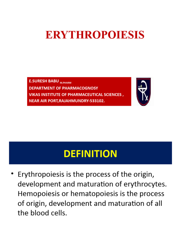 ERYTHROPOIESIS | PDF | Blood Cell | Hematopoietic Stem Cell