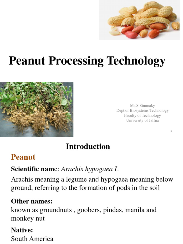 Peanut Processing | PDF | Peanuts | Peanut Butter
