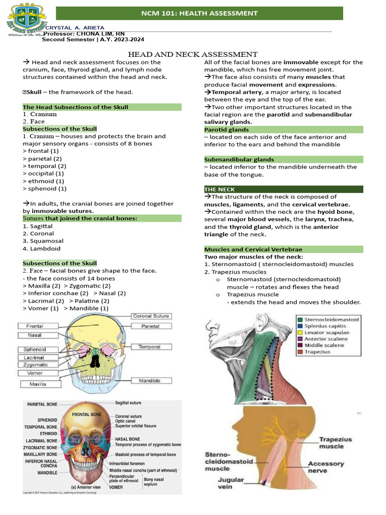 Head and Neck Assessment Overview | PDF | Skull | Neck
