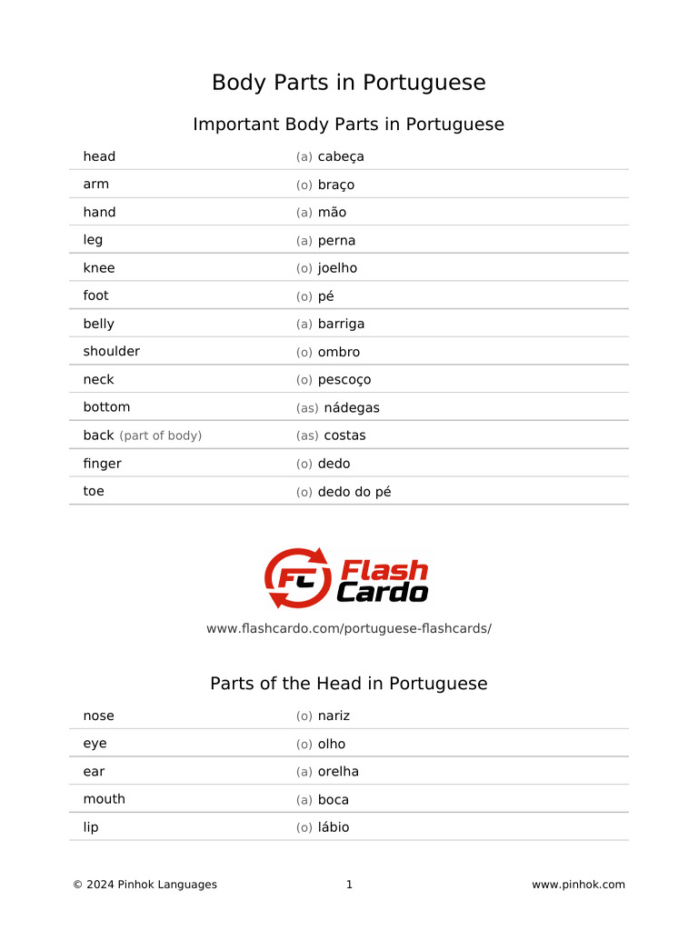 Partes do Corpo em Português | PDF
