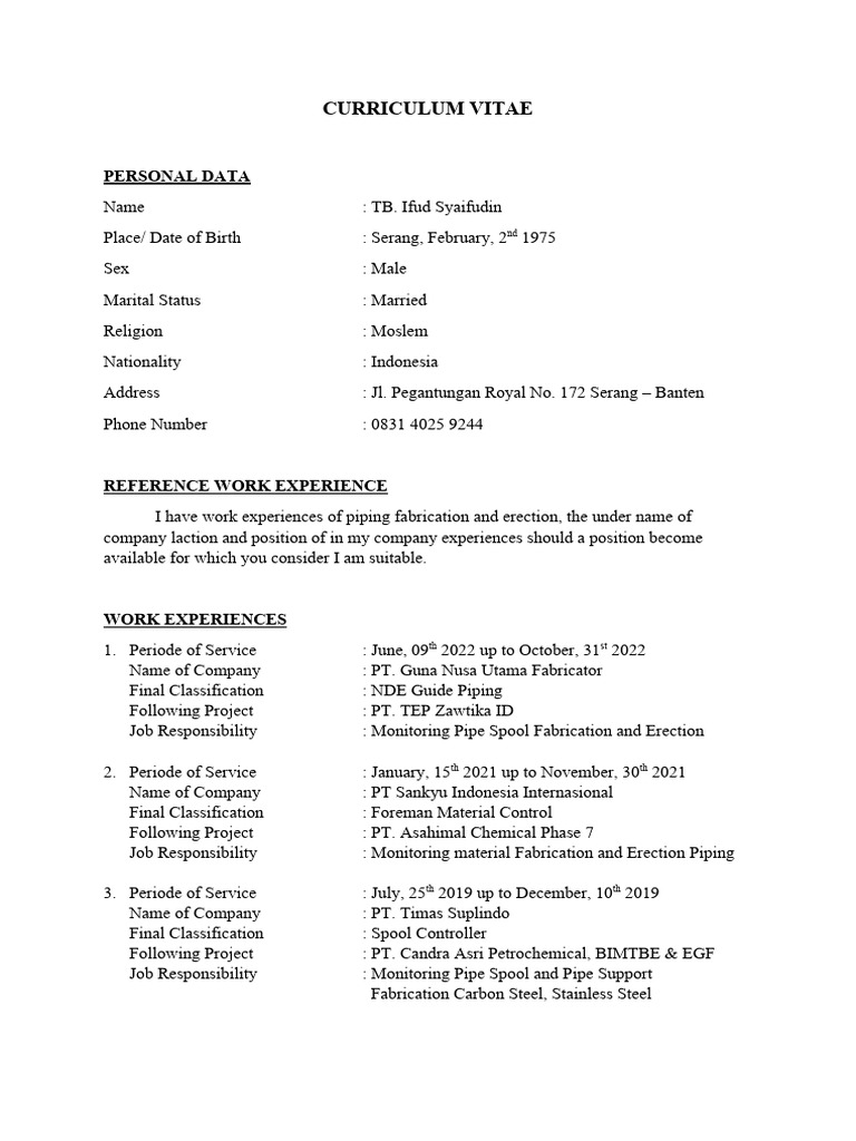 Curriculum Vitae | PDF | Iron | Materials