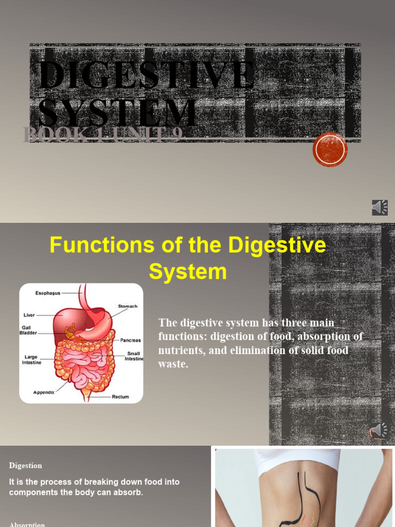 Presentation - Digestive System (1-9) With Audio | PDF ...