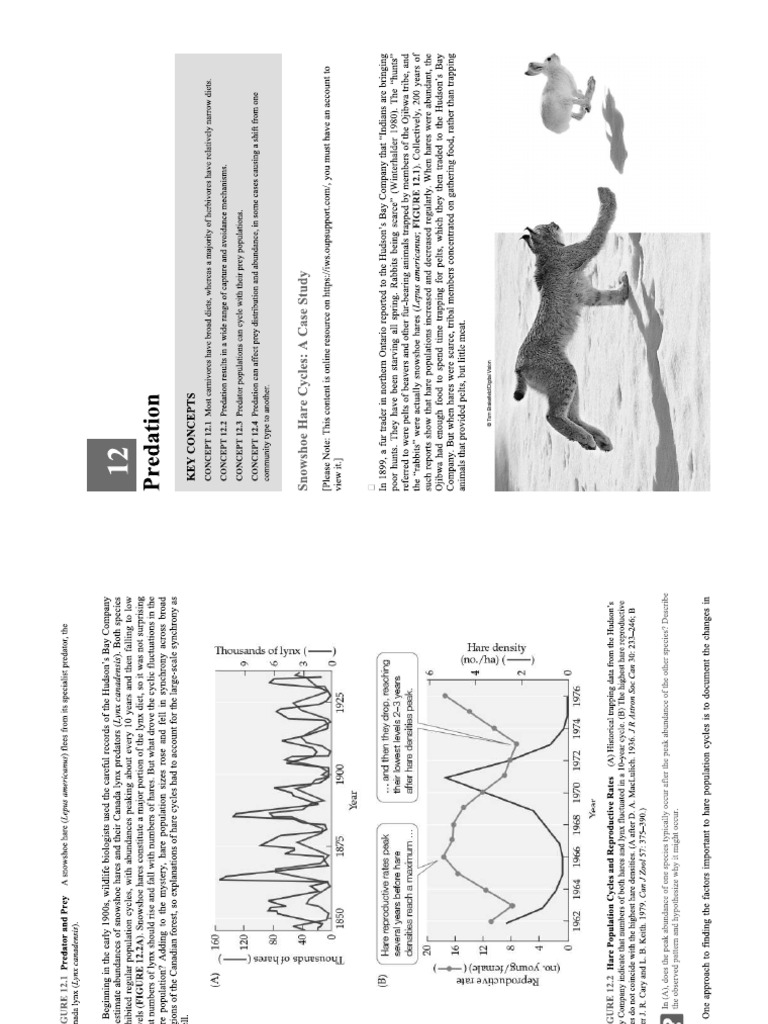 Lecture-10 Species and Interactions | PDF