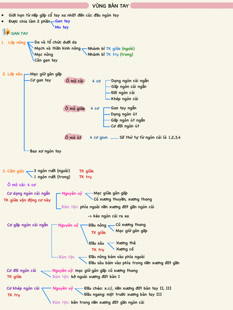 Vùng Bàn Tay | PDF