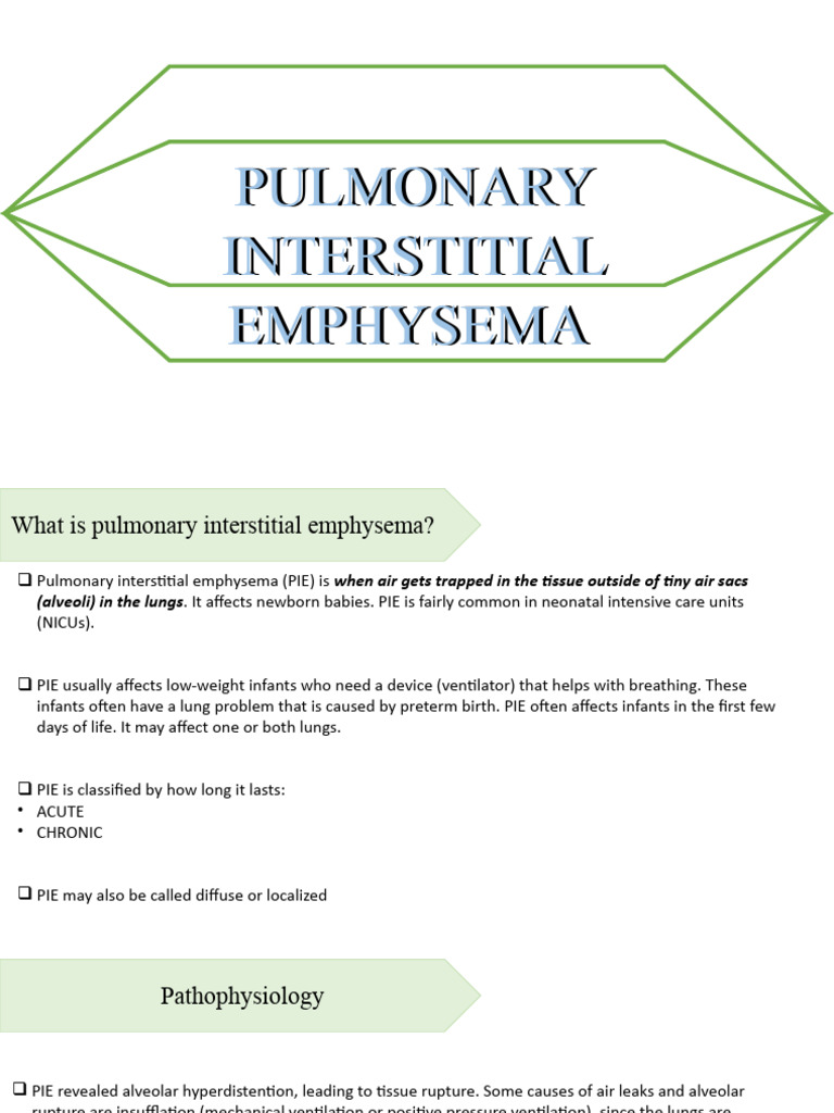 Pie | PDF | Respiratory Diseases | Lung
