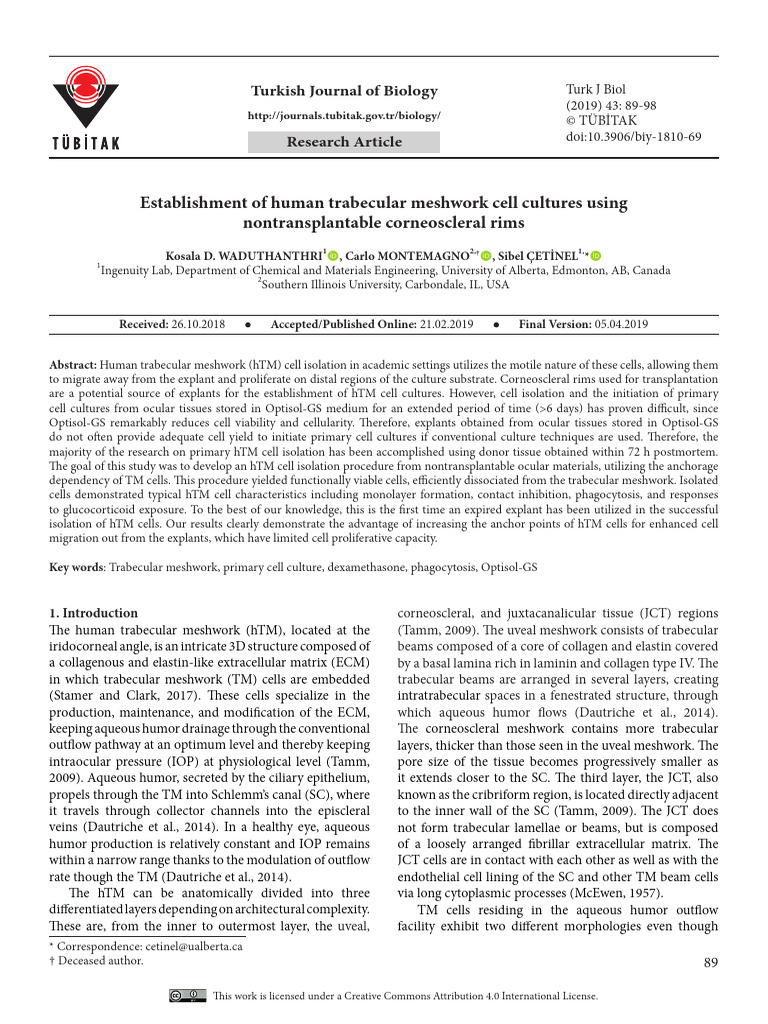 2019.establishment of Human Trabecular Meshwork Cell Cultures Using ...