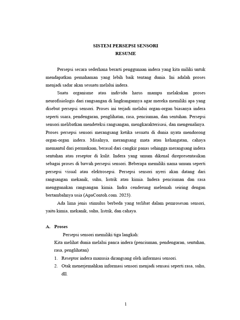 Resume Persepsi Sensori | PDF