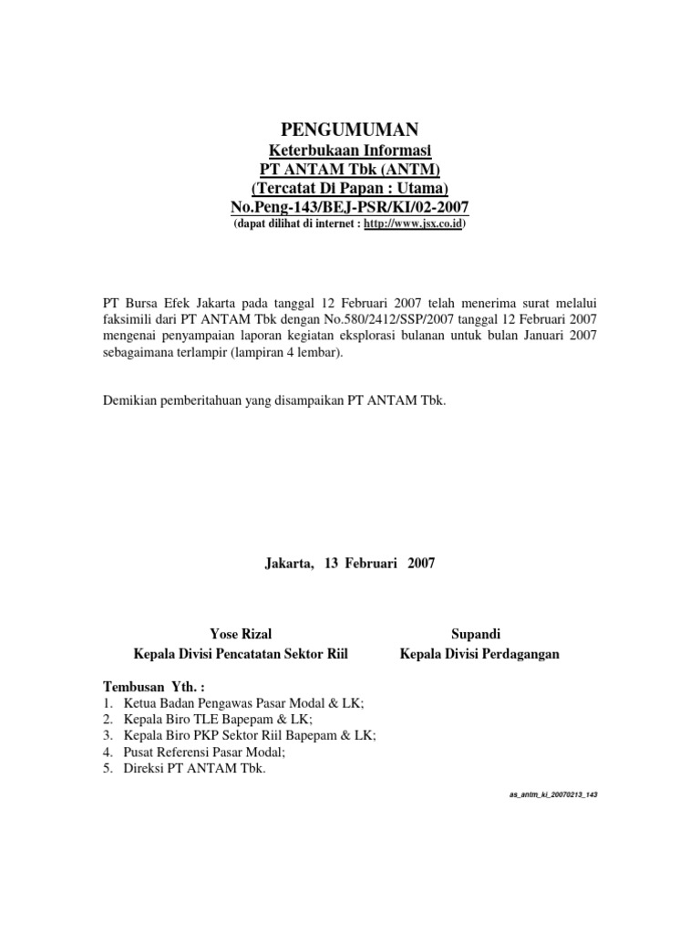 ANTM 070213 JSX | PDF