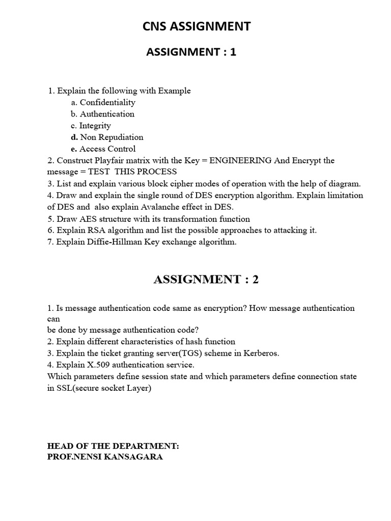 Cns Assignments | PDF