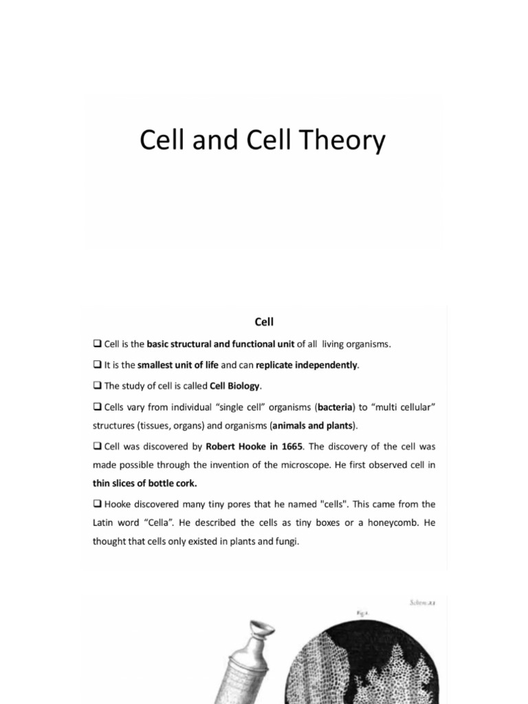 Cell Theory | PDF