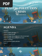 Plastic Pollution Presentation | PDF